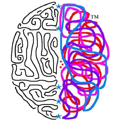 what does the right brain control